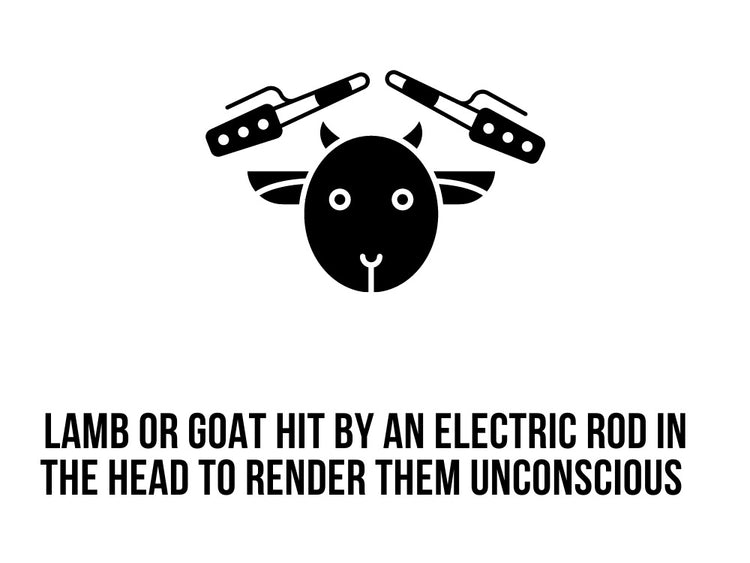 Our Stance on Stunning in Meat Processing – Halal Foundry