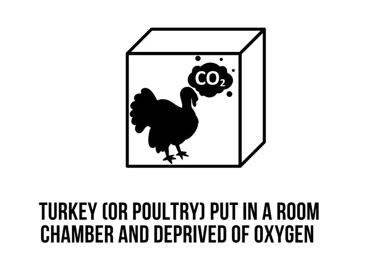 Our Stance on Stunning in Meat Processing – Halal Foundry