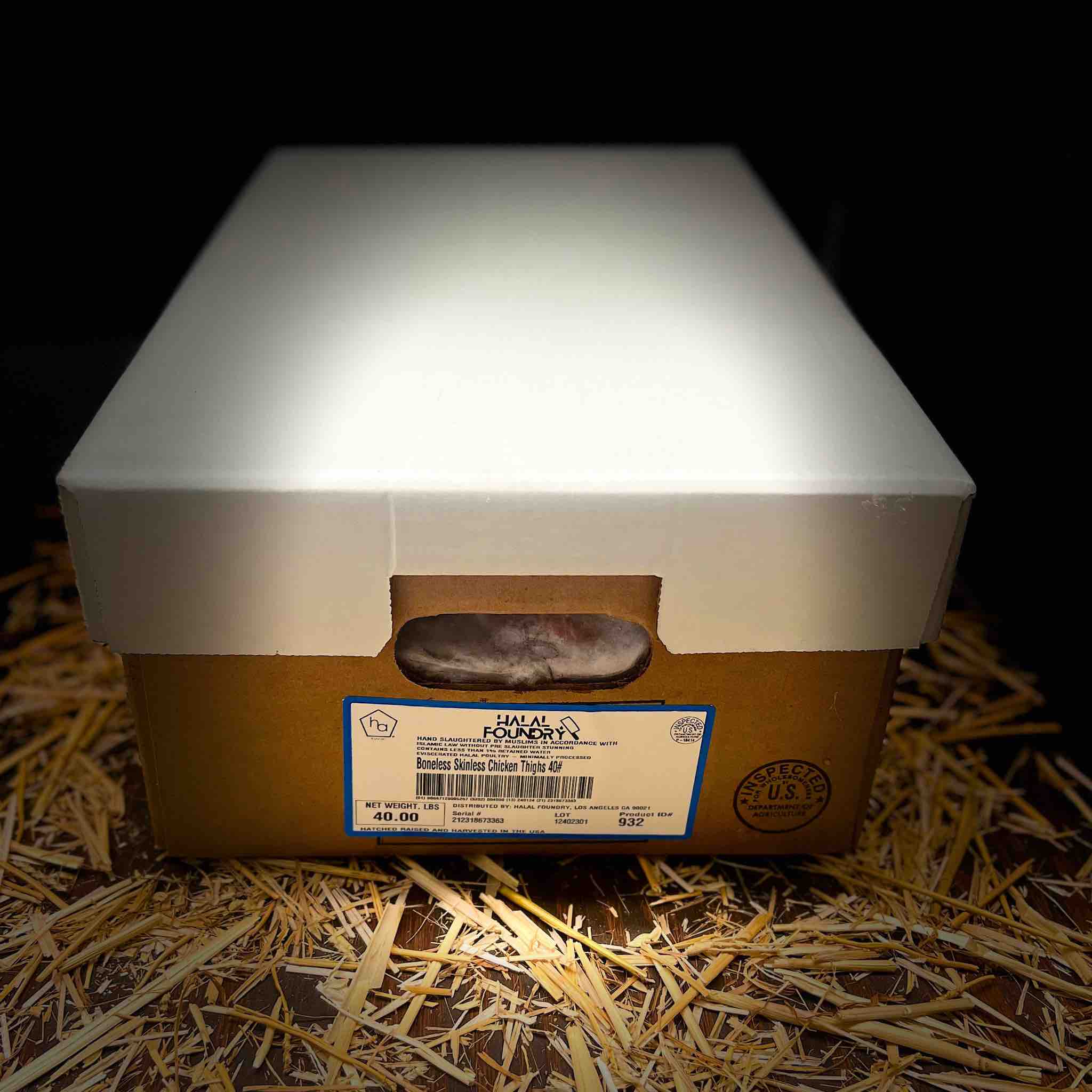 Wholesale Chicken Thigh Boneless Skinless - 40 lbs Box – Halal Foundry